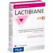 Probiotique intestin, quel est le meilleur pour la flore intestinale