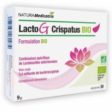 Tout savoir sur le Lactobacillus crispatus en ovule probiotique ...